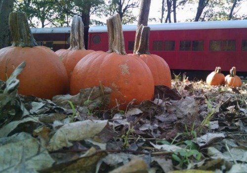 The Great Pumpkin Train - WellWell