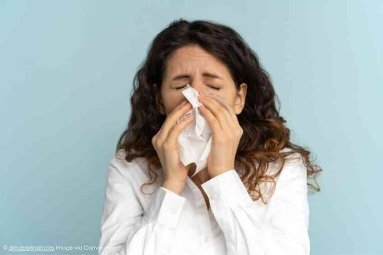 A Guide to Good Sneezing - WellWell